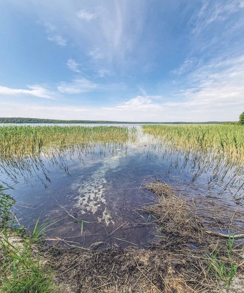 Šventas - VietosDvasia.lt